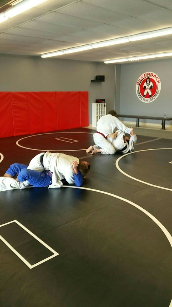 Final Touches on the Academy – Silverback Brazilian Jiu-Jitsu Academy